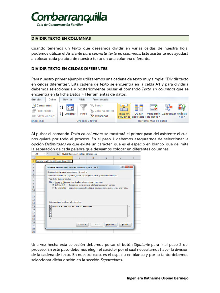 Dividir Texto en Columnas en Excel | PDF | Informática
