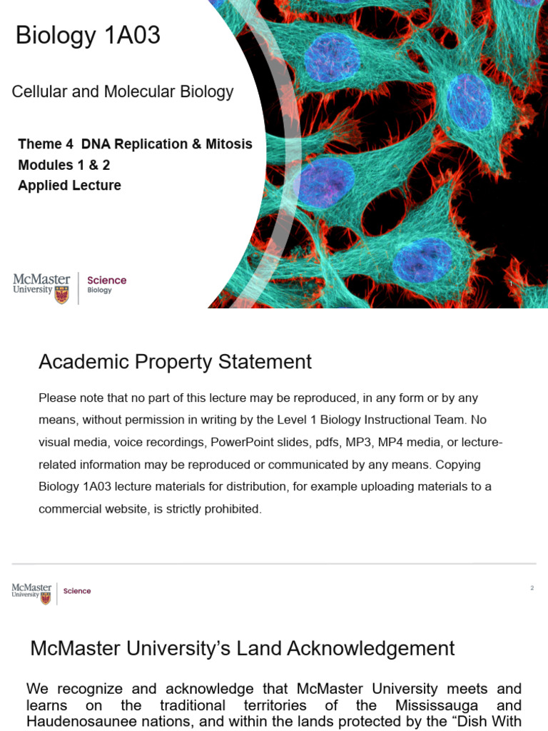 Theme 4 Modules 1 & 2 Applied Lecture Bio1A03 | PDF | Cancer | Mitosis