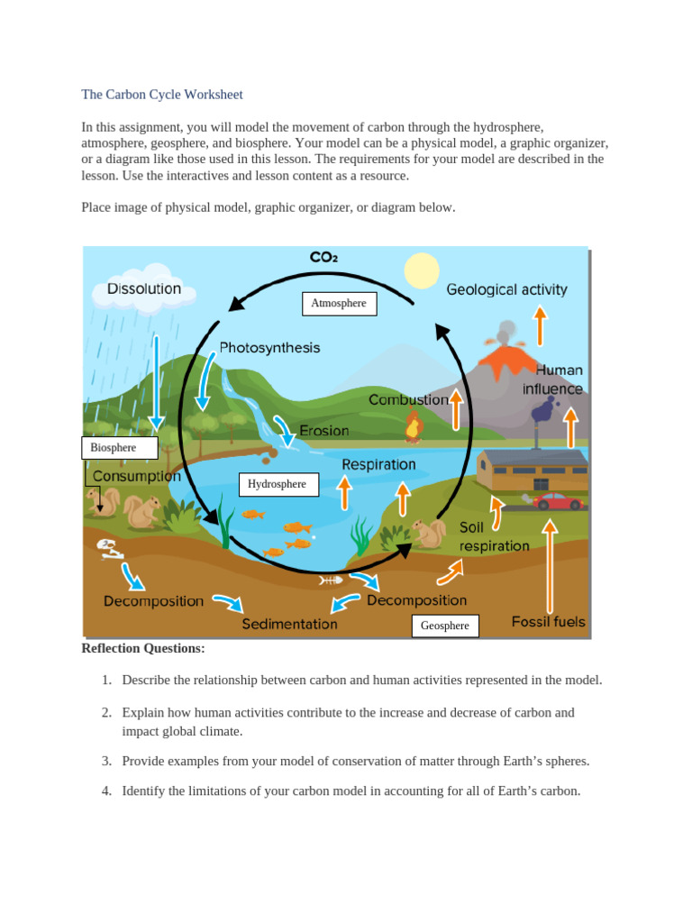 Carbon Cycle Worksheet | PDF | Carbon Cycle | Earth Sciences