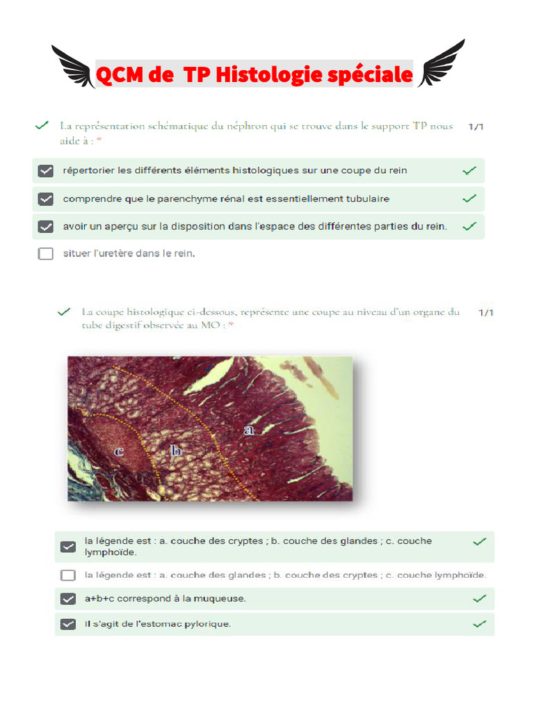 QCM TP Histologie Corrigé | PDF