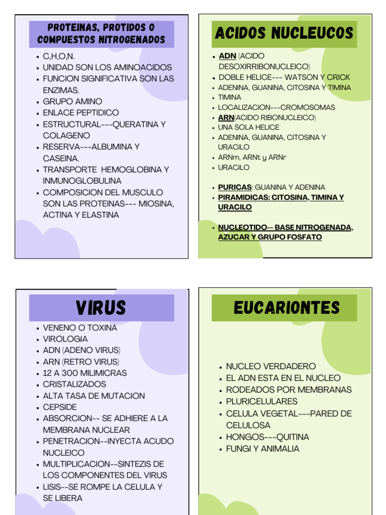 Acidos Nucleucos: Proteinas, Protidos O Compuestos Nitrogenados | PDF ...