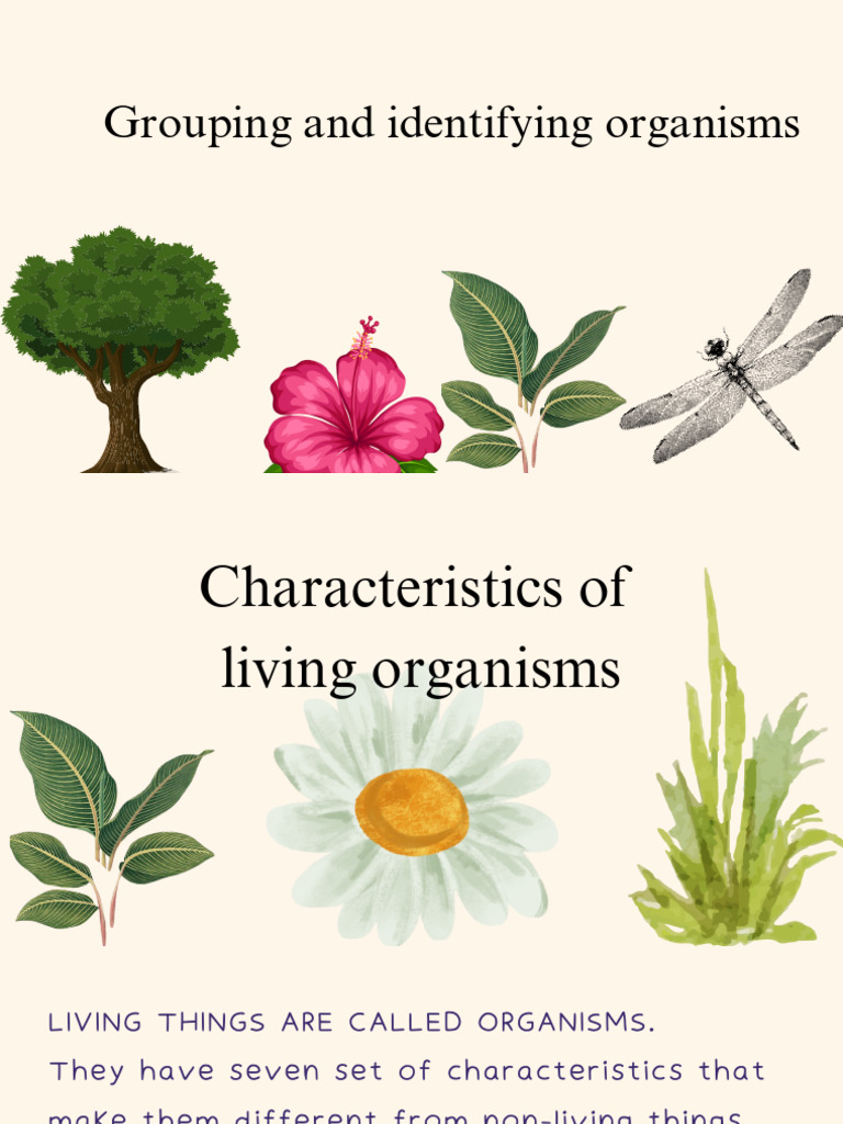 Characteristics of Living Organisms | PDF | Cellular Respiration ...