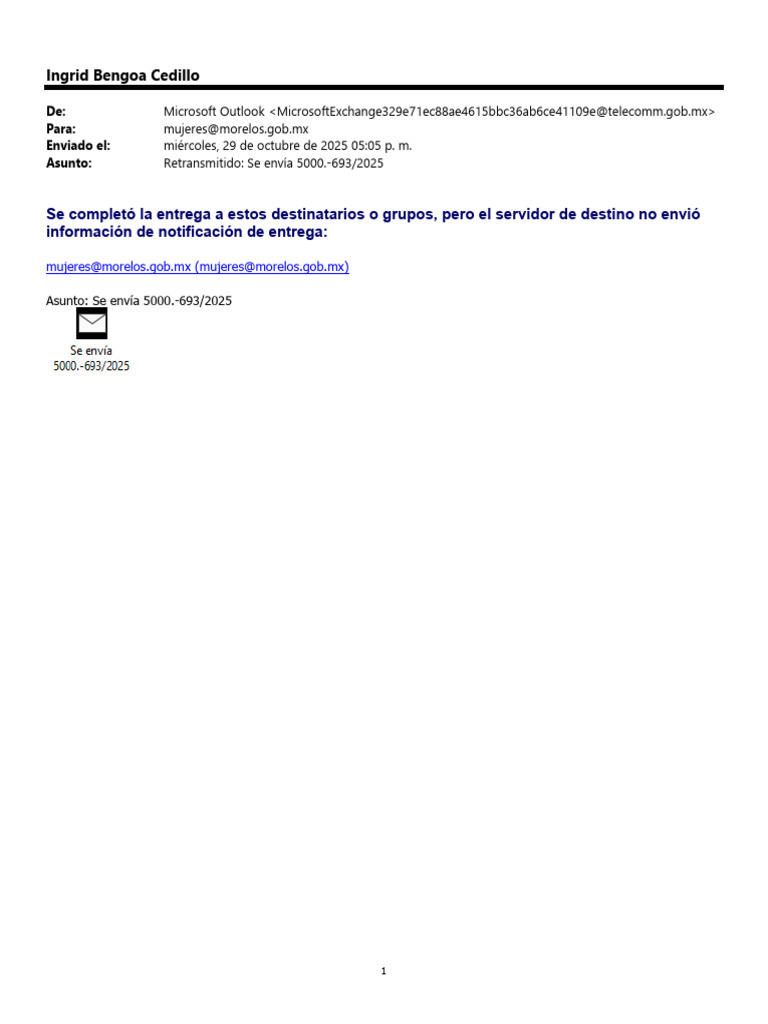Notificación de entrega fallida 5000.-693/2025 | PDF