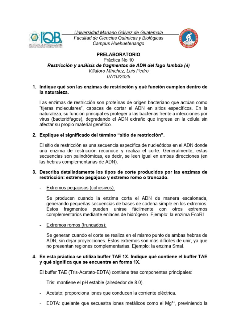 Pre lab práctica No. 10 bioqui II | PDF | Adn | Bacteriófago