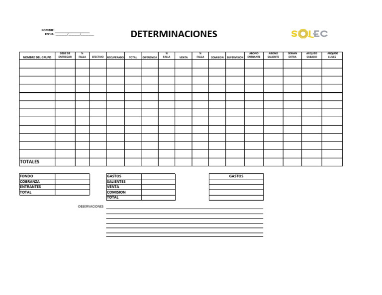 Determinaciones Promotoras | PDF