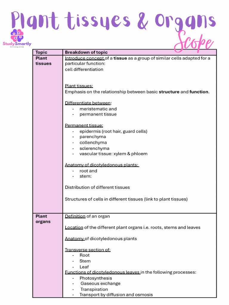 Plant Tissues and Organs | PDF