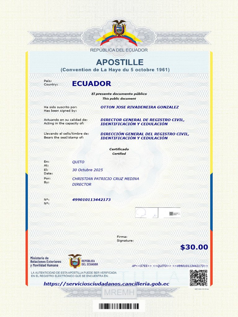 Apostilla 499010113442173 | PDF