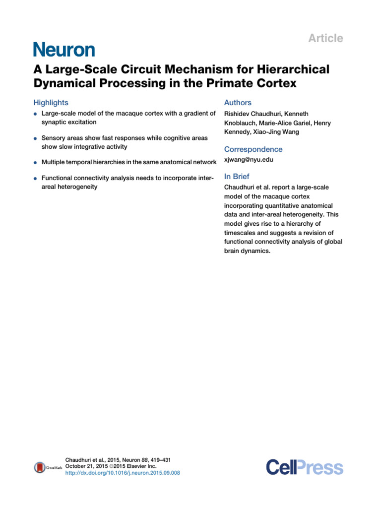 Primate Cortex Circuit Dynamics Model | PDF | Visual Cortex | Cerebral ...