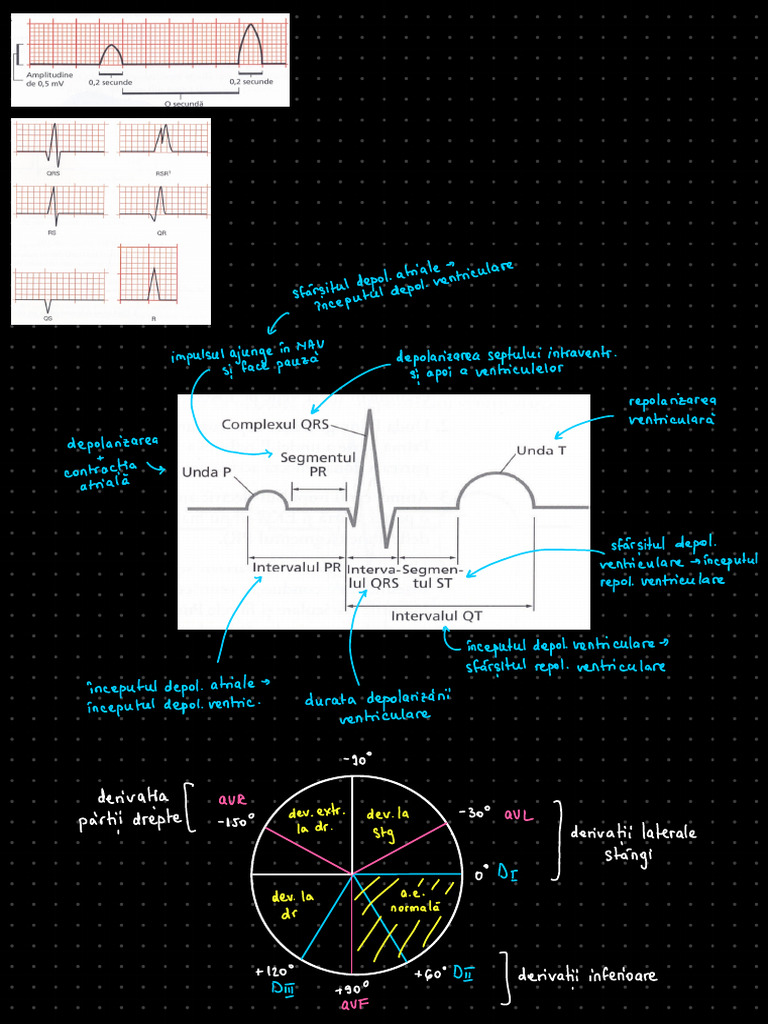 Notite EKG | PDF