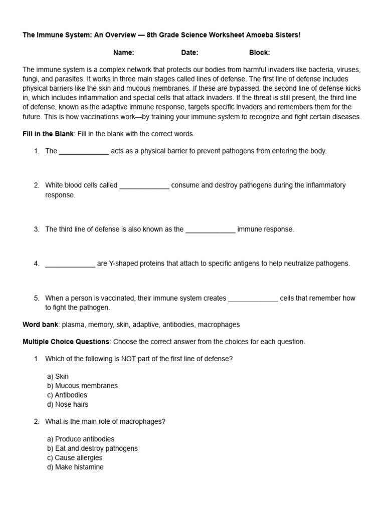 The Immune System - An Overview - 8th Grade Science Worksheet Amoeba Sisters 2 | PDF | Immune ...