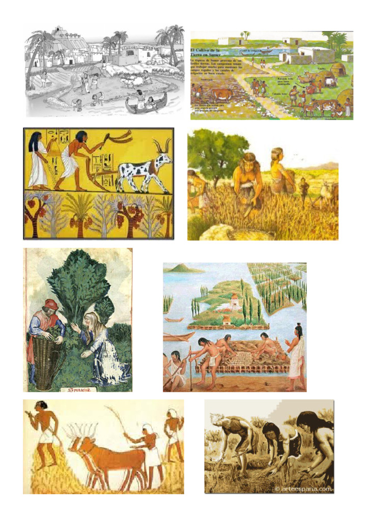 Agricultura Mesopotamia | PDF