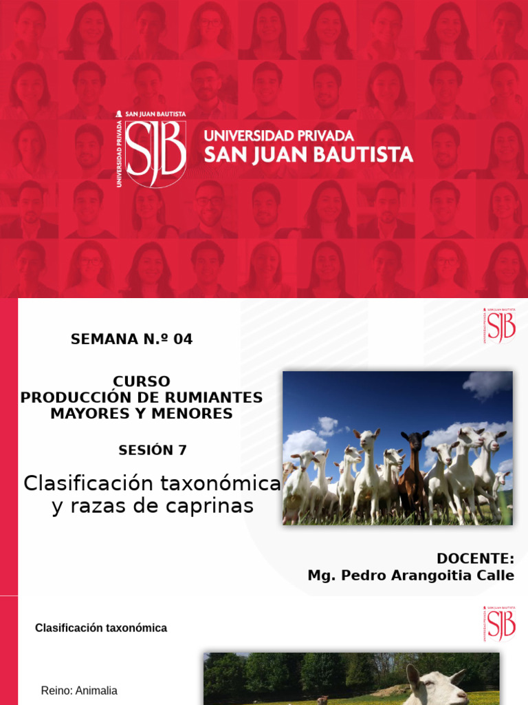 Semana 4 Principales Razas Caprinas | PDF | Cabra | Zoología