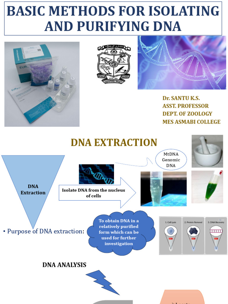 DNA Extraction and Purification | PDF | Lysis | Protein Purification