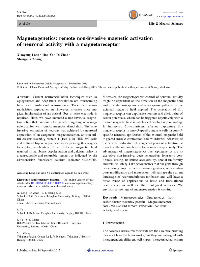 Magnetogenetics: Non-Invasive Neuronal Control | PDF | Action Potential ...