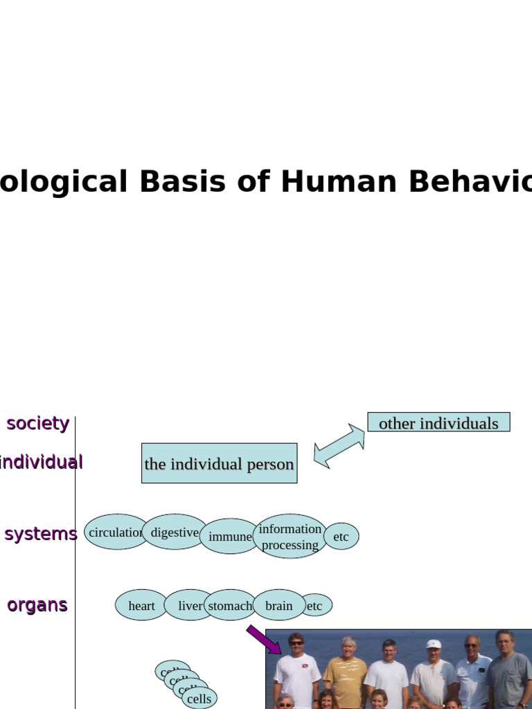 Biological Basis of Behavior | PDF | Neuron | Neurotransmitter