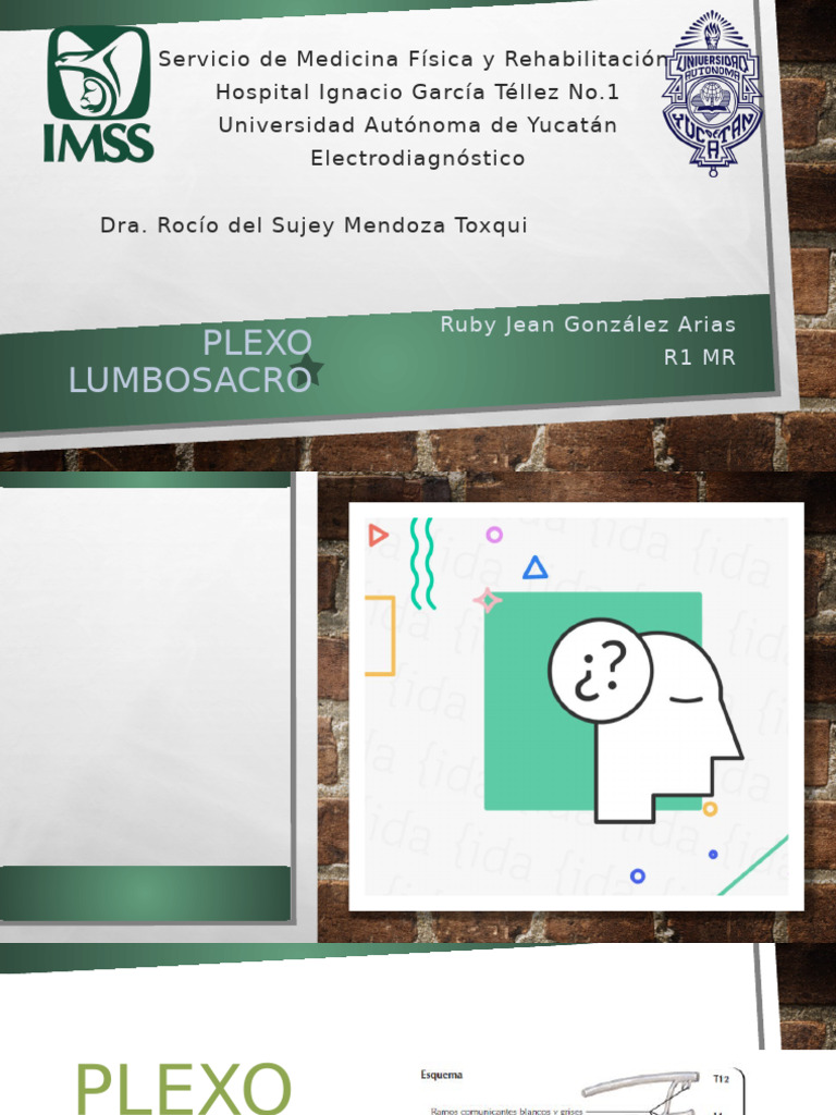 Plexo Lumb-Sa | PDF | Anatomía del miembro inferior | Extremidades ...