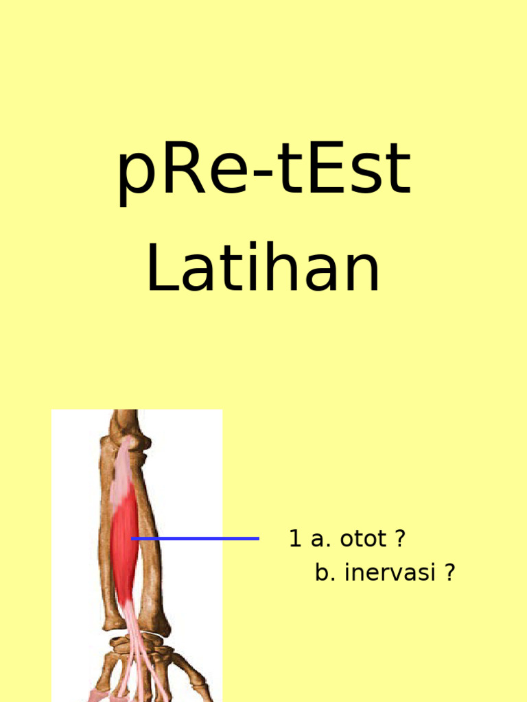 pRe-tEst | PDF