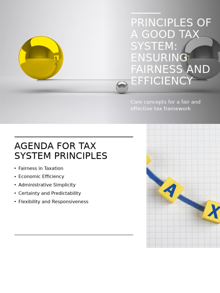 Principles of A Good Tax System | PDF | Equity (Economics) | Taxes