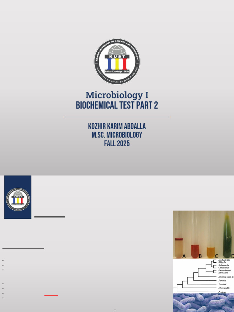 Biochemical Test Part 2 (KUST Template) | PDF | Chemical Compounds ...