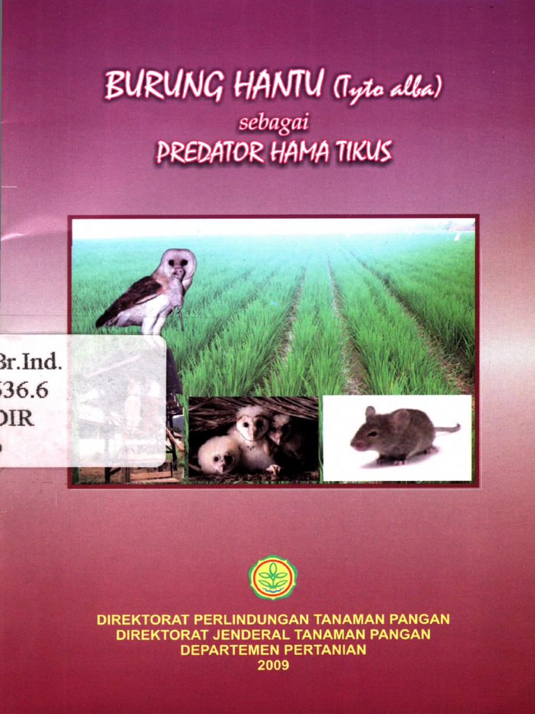 Burung Hantu Tyto alba: Predator Hama Tikus | PDF