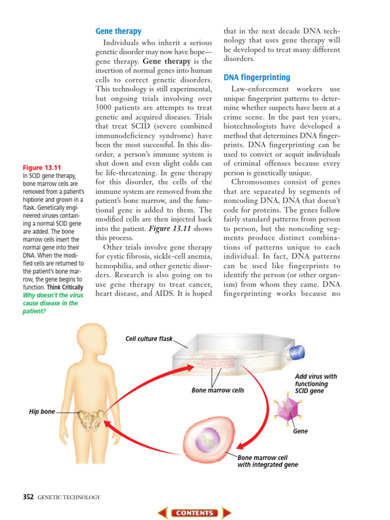 Gene Therapy and DNA Fingerprinting Insights | PDF | Gene Therapy | Gene