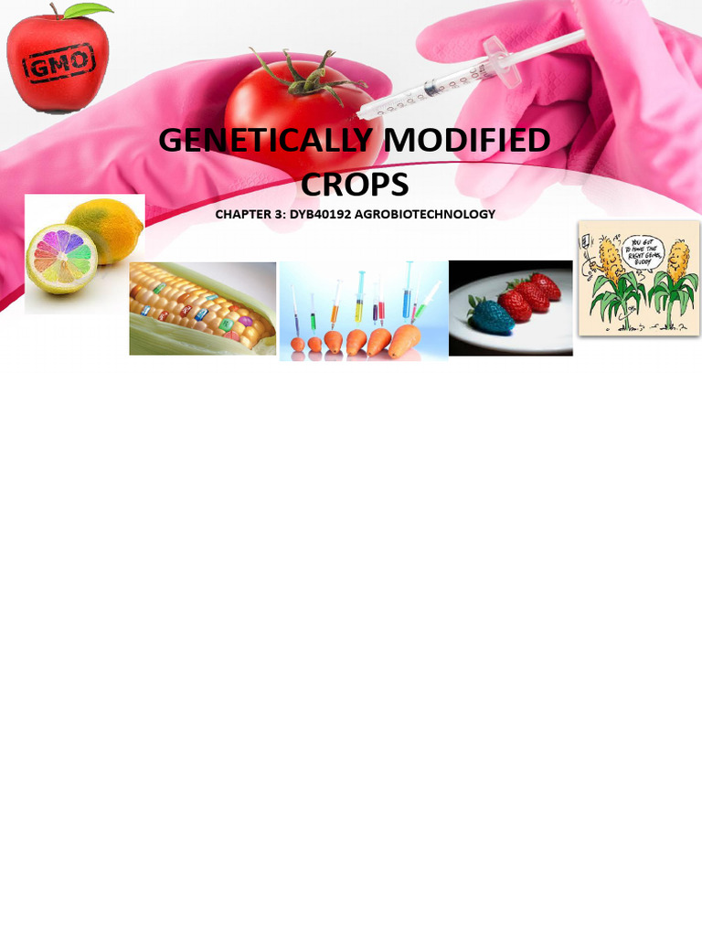 Overview of Genetically Modified Crops | PDF | Genetically Modified ...