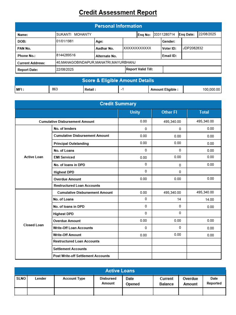 Comprehensive Credit Assessment Report | PDF | Loans | Microfinance