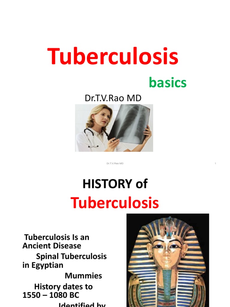 Tuberculosis Basics | PDF | Mycobacterium | Tuberculosis