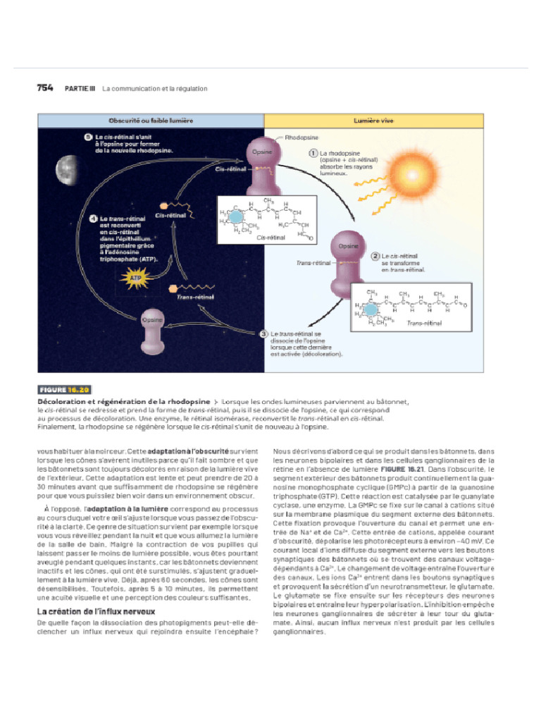 MKMKMM Merged | PDF