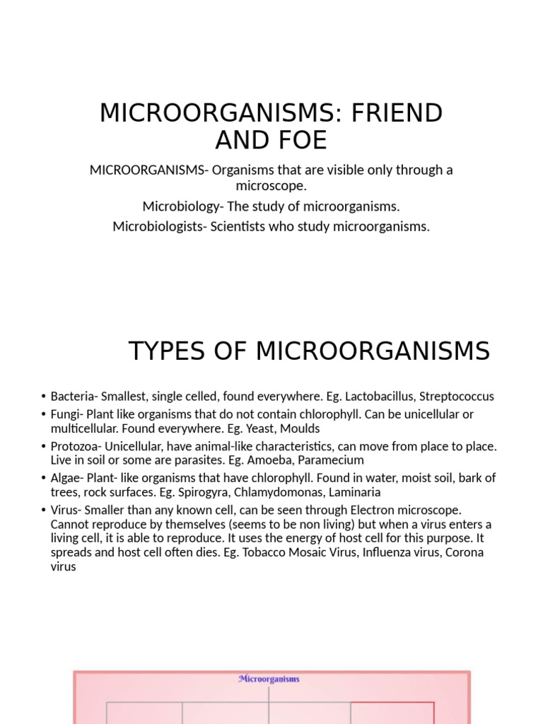 Class 8 Bio Ch. 2 Microorganisms | PDF | Microorganism | Food Preservation