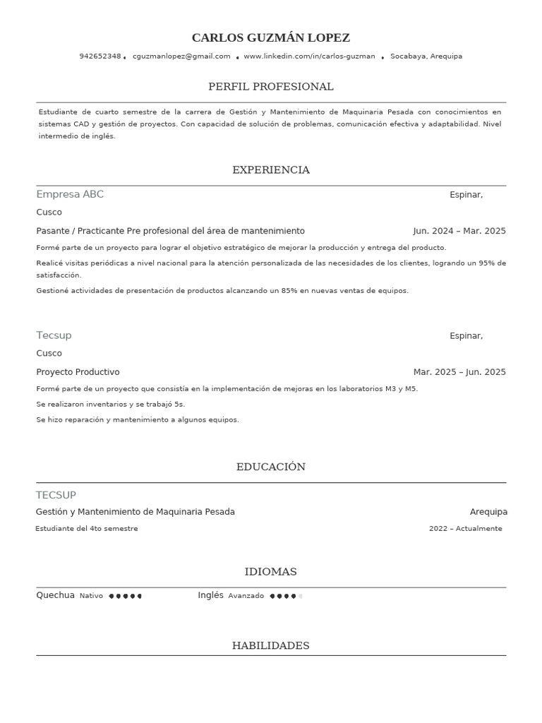 Carlos Guzmán Lopez: Perfil Profesional | PDF