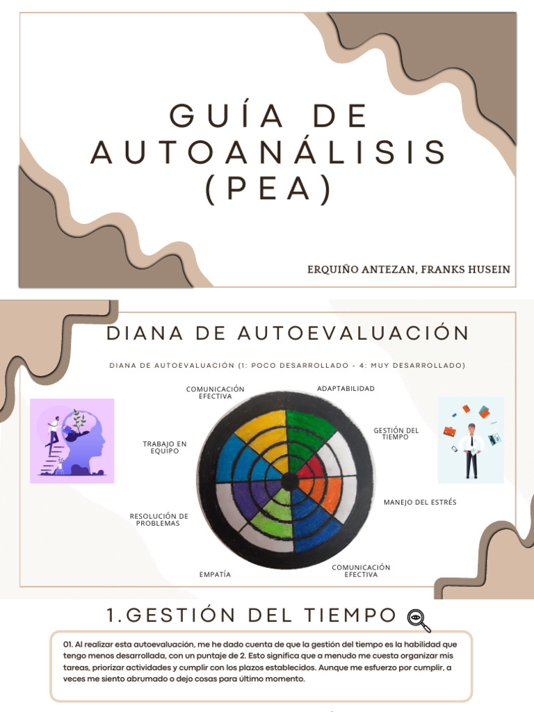 Guia de Autoanalisis (Pea) | PDF