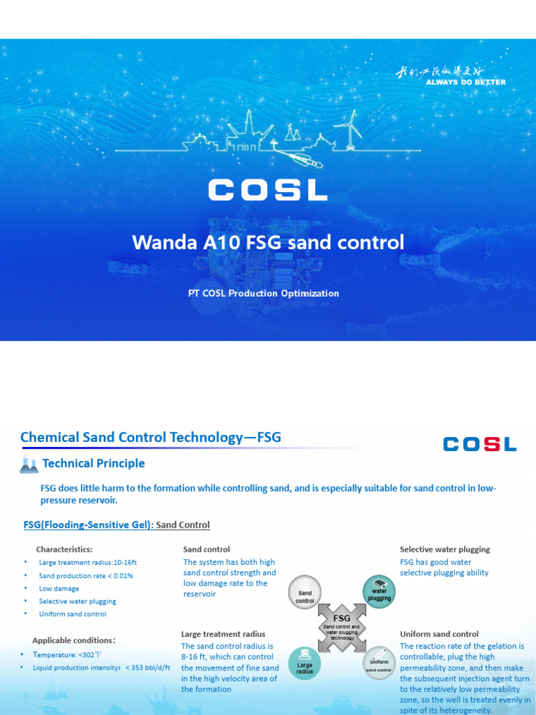 FSG Sand Control Technology Overview | PDF | Water | Industrial Processes
