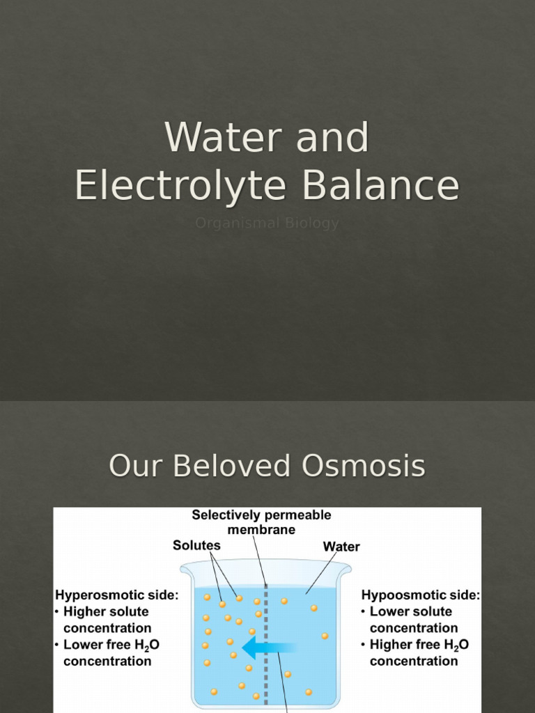 Water and Electrolyte Balance F22 | PDF