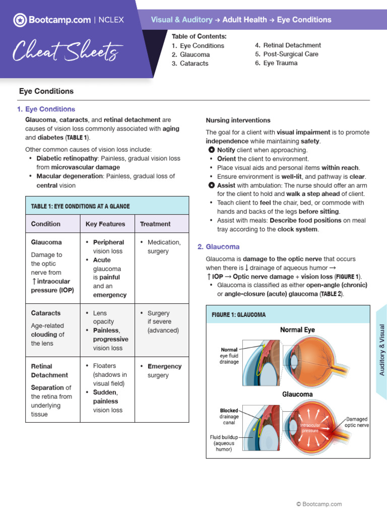 Common Eye Conditions and Care Guide | PDF | Glaucoma | Cataract