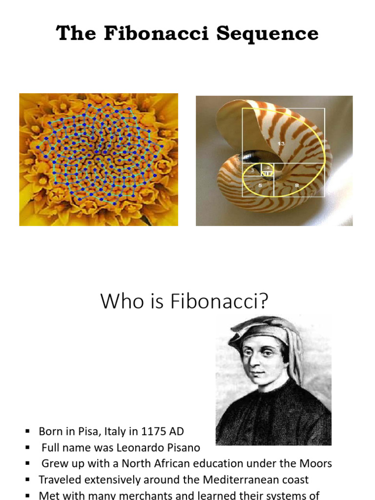 Understanding the Fibonacci Sequence | PDF