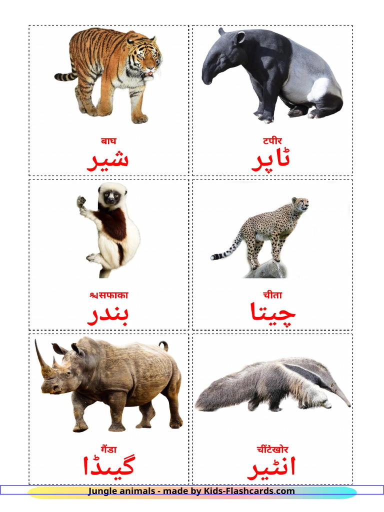 Free Jungle Animals Flashcards | PDF