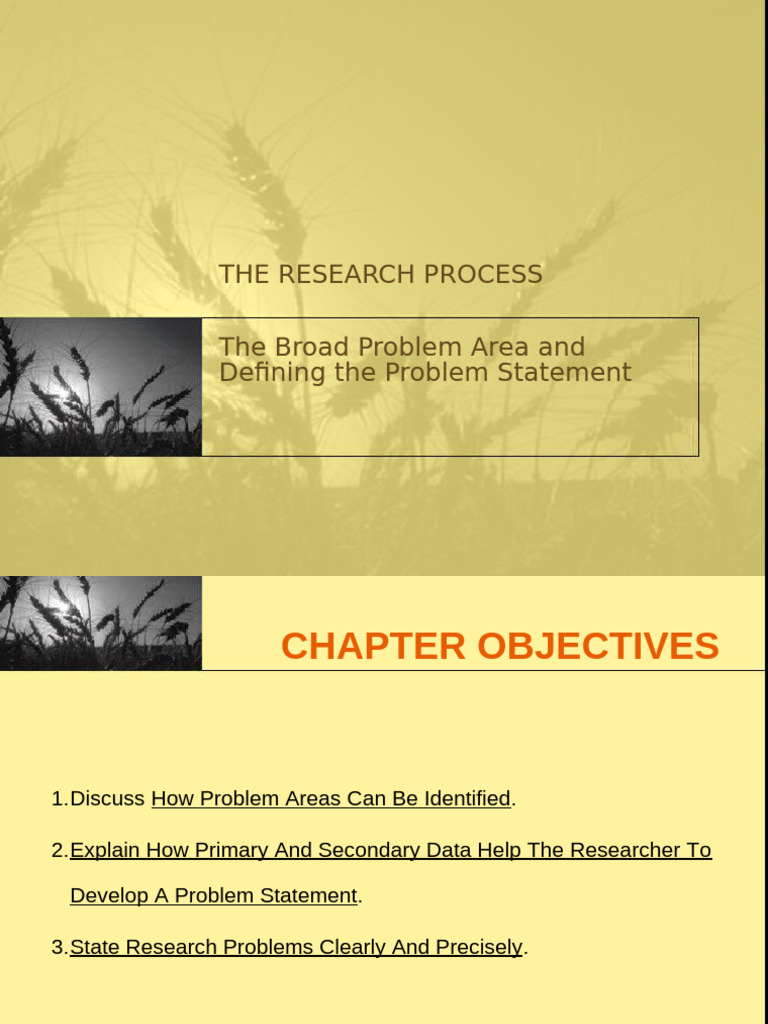 QRM Lec # 4 The Research Problem | PDF | Data | Libraries