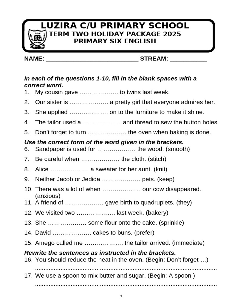 P.6 Term Ii Holiday Package | PDF