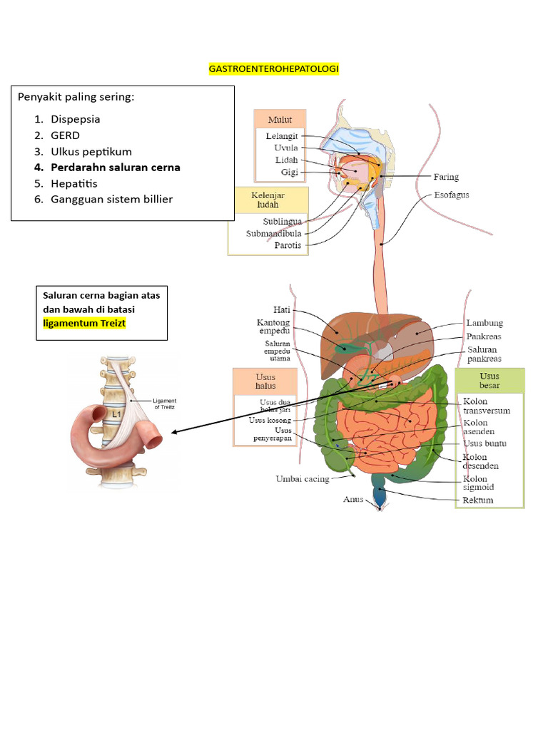 Materi GEH imun 30 sept | PDF