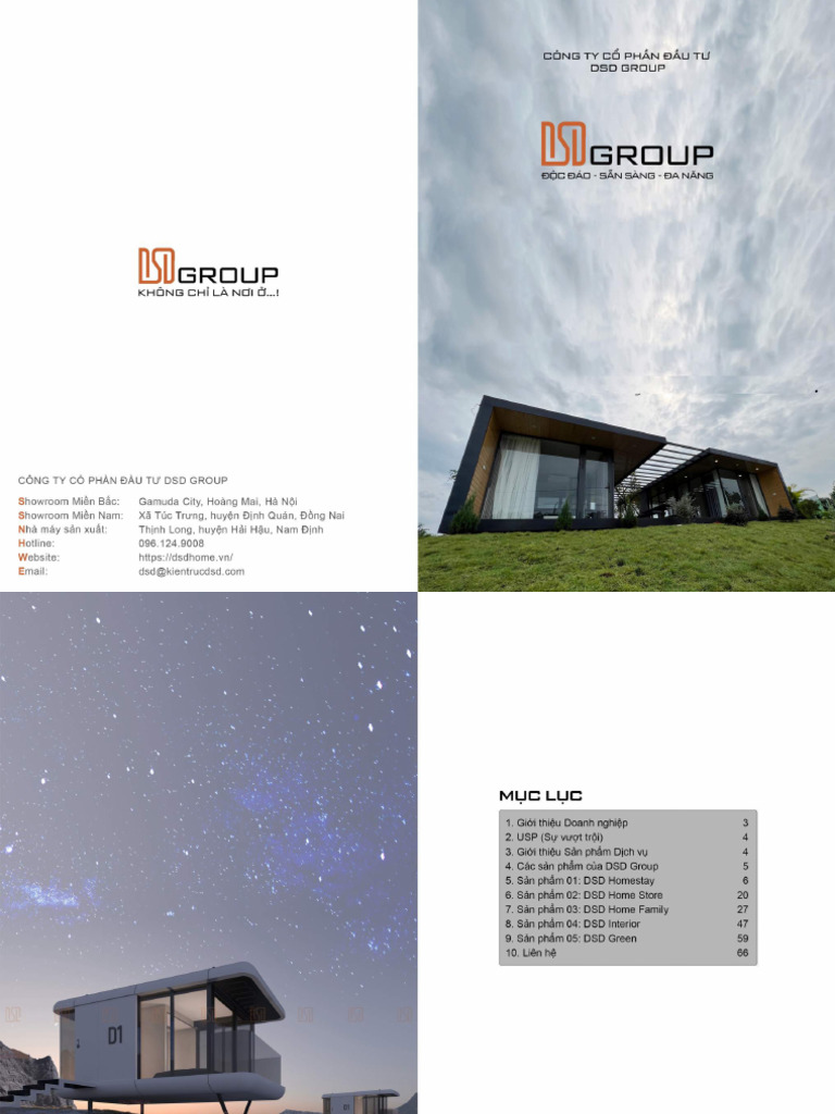 Bao Gia DSD Group 2024 | PDF