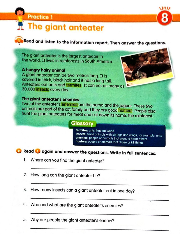 My Pals 4B - Unit 8 | PDF