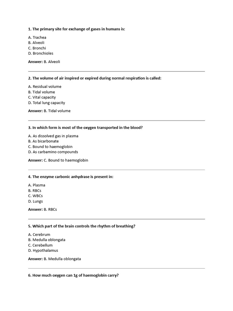 Human Respiratory System Quiz Answers | PDF | Respiratory System ...