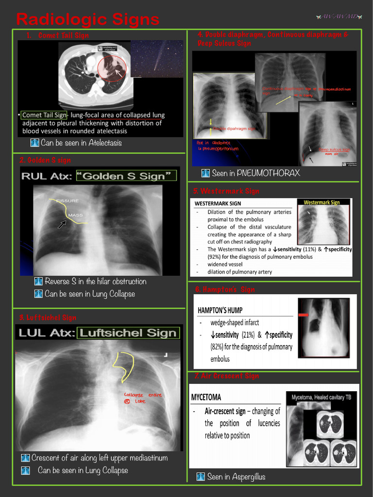 Radiology Important Notes | PDF