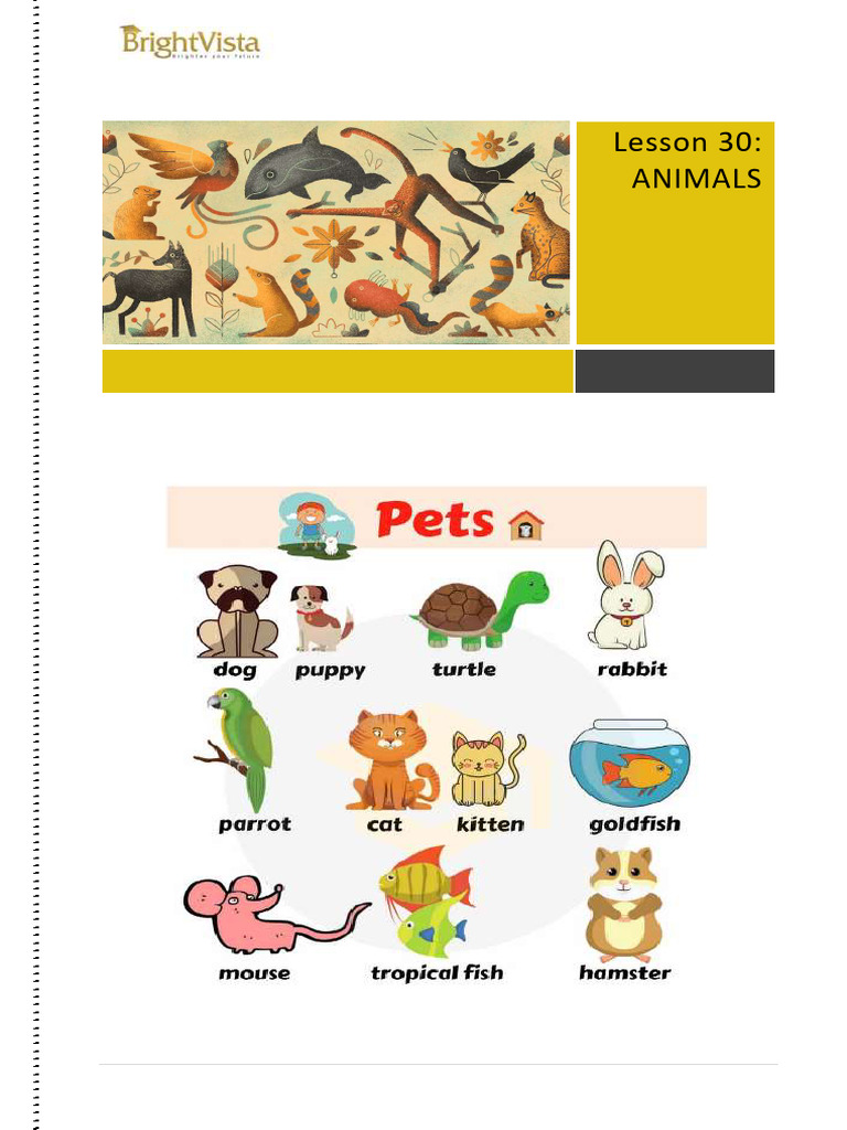Types of Animals Lesson Plan | PDF | Pet | Chess Theory