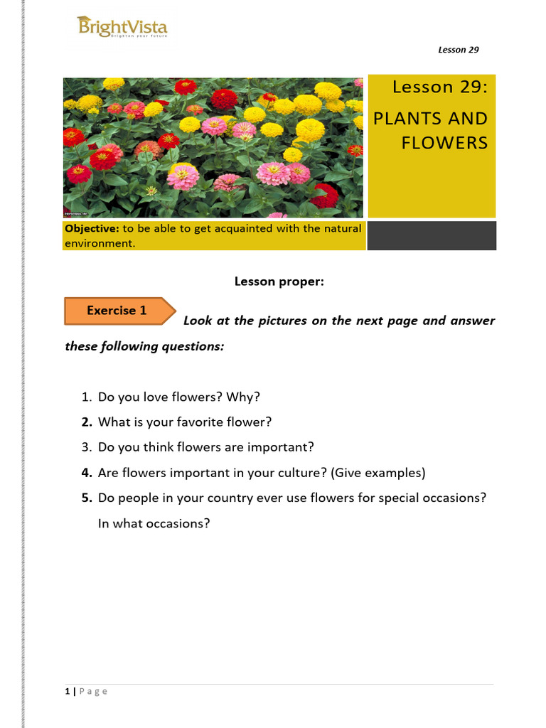 B Lesson 29 Flowers - Plants | PDF