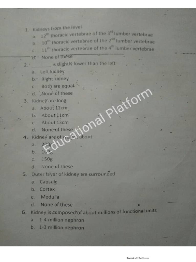 Anatomy and Physiology 1st Semester BSN MCQS, Educational Platform | PDF