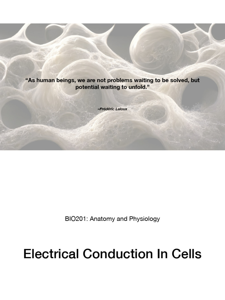BIO201 Action Potentials Slides | PDF | Action Potential | Axon