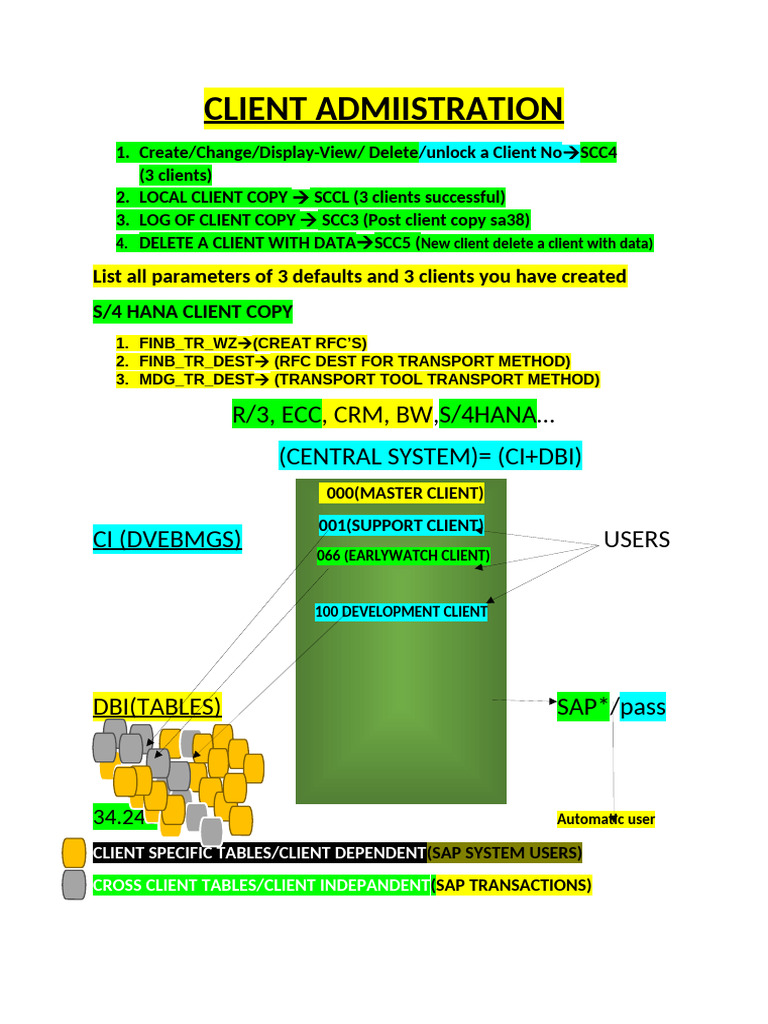 SAP Client Administration Guide | PDF | Computing