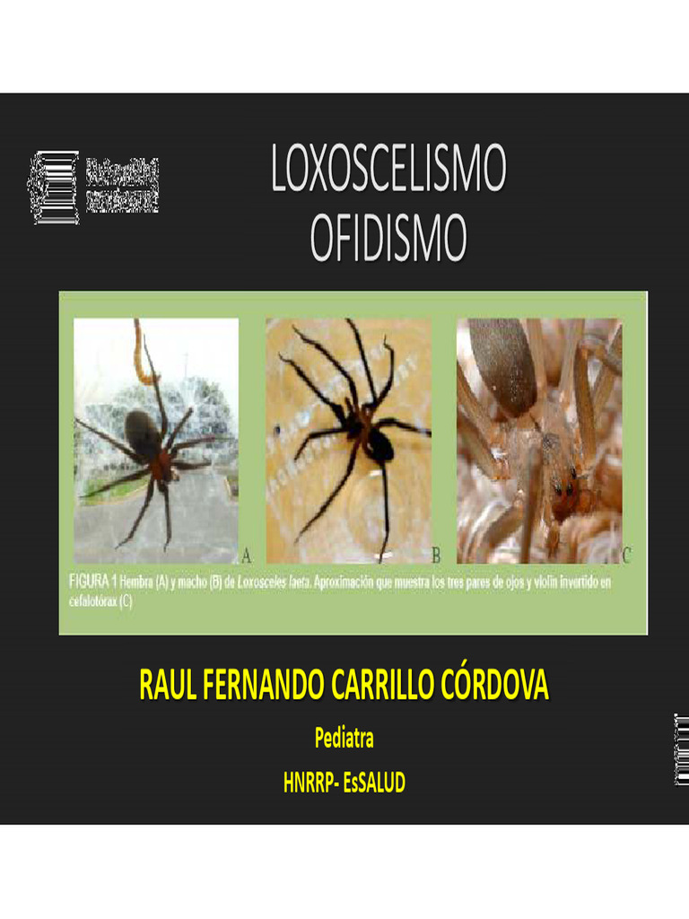24va Clase Pediatría II Uc Loxoscelismo Ofidismo | PDF | Especialidades ...